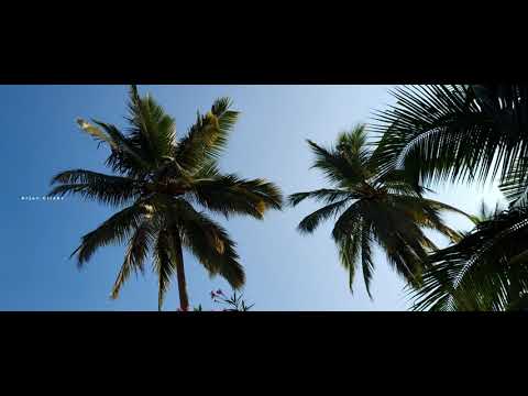 Galaxy S21 5G 4K Cinematic Sample Video / Morning Vibes
