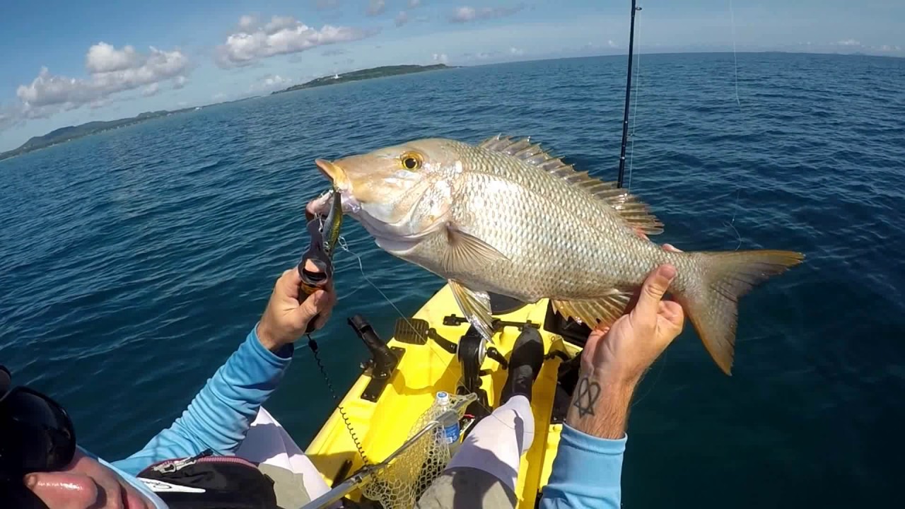 Shark steals my fish and a 20" (50cm) Taman! - YouTube