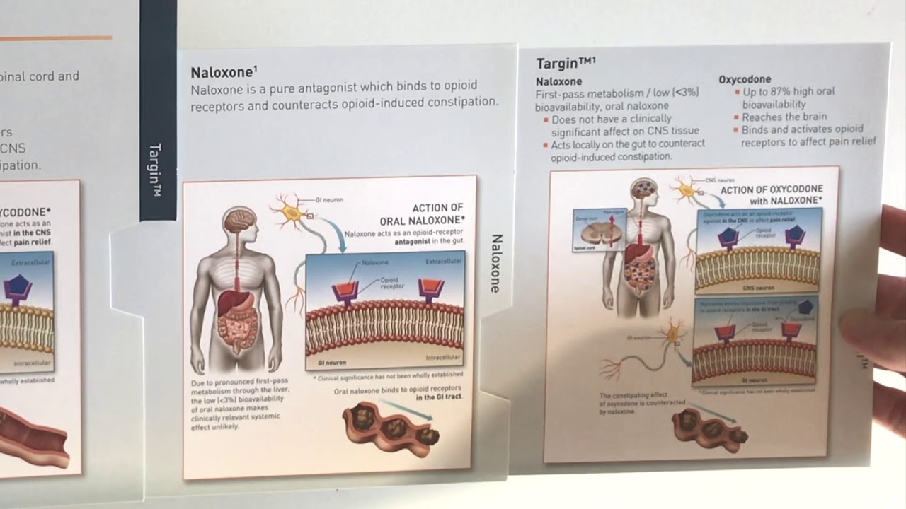 Targin® Reference Guide - YouTube