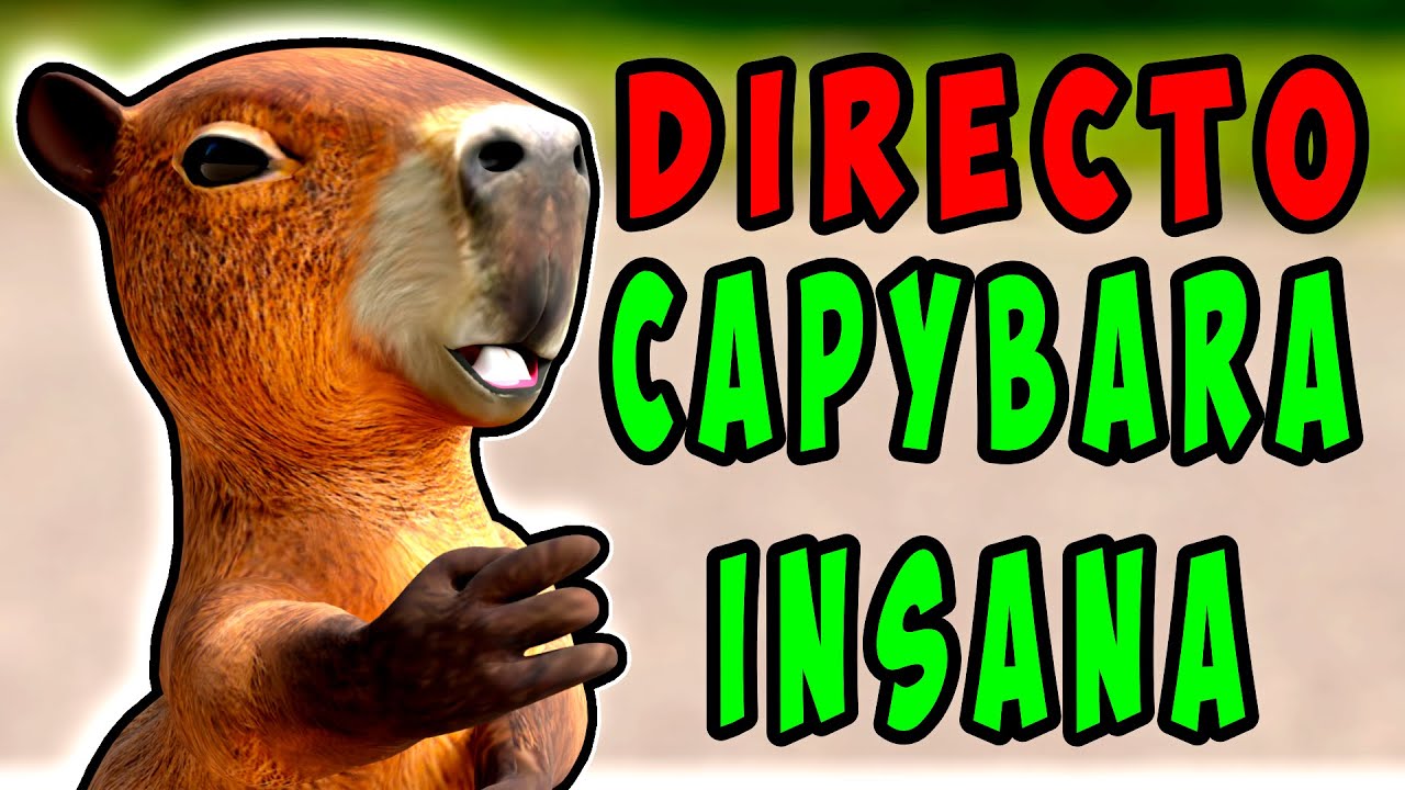 ️ANIVERSARIO BAILA CAPIBARA EMOTIZA INSANA ️ LIVE - YouTube