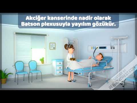 Batson's Plexus - YouTube