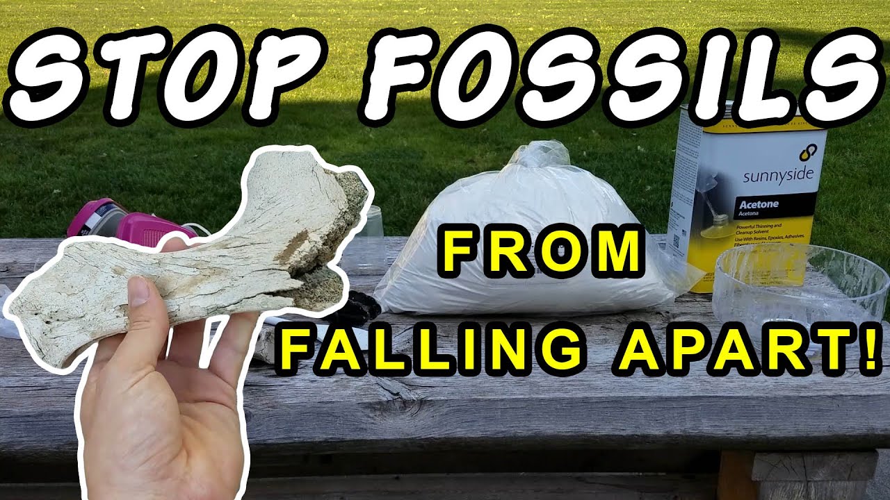 How To Stabilize a Bone or Fossil with B-76 Butvar Resin - YouTube