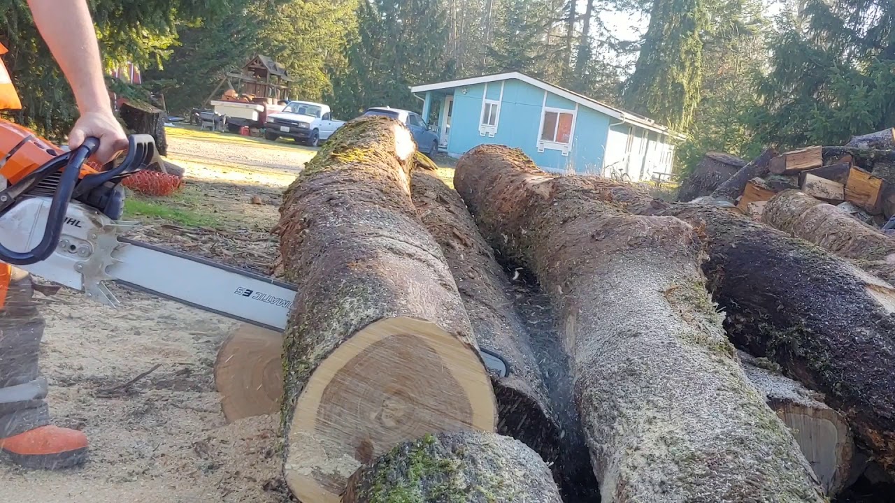 SUPRISE Firewood Oak log load (small) plus bucking with MS461 chainsaw ...