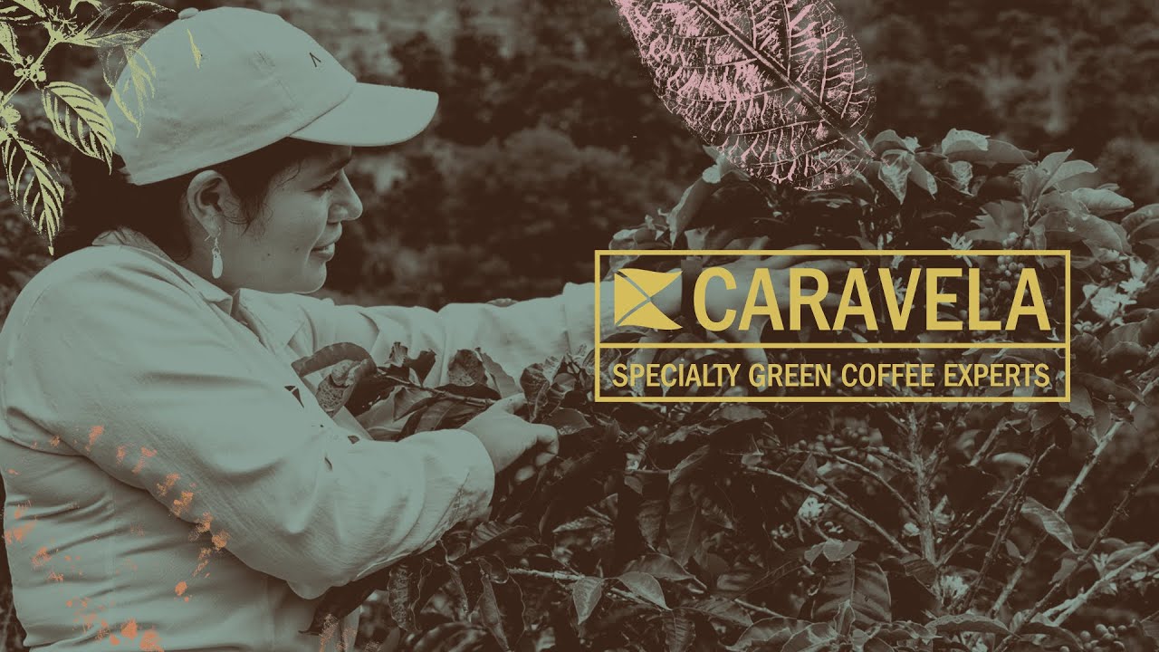 Caravela Better Coffee - YouTube