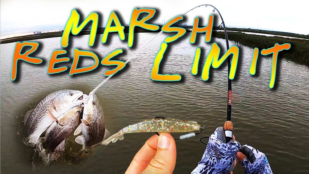 Marsh Redfish Limit - YouTube
