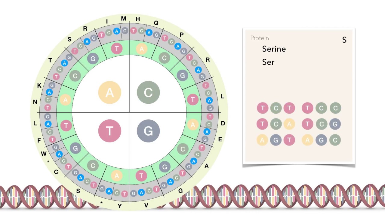 CODE SONNE - YouTube