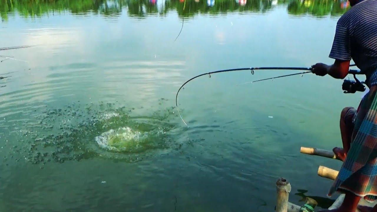 Big Fishing Videos By Fish Spark On Villages - YouTube