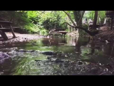 Mükemmel Manzara Mükkemmeell (Şelale)