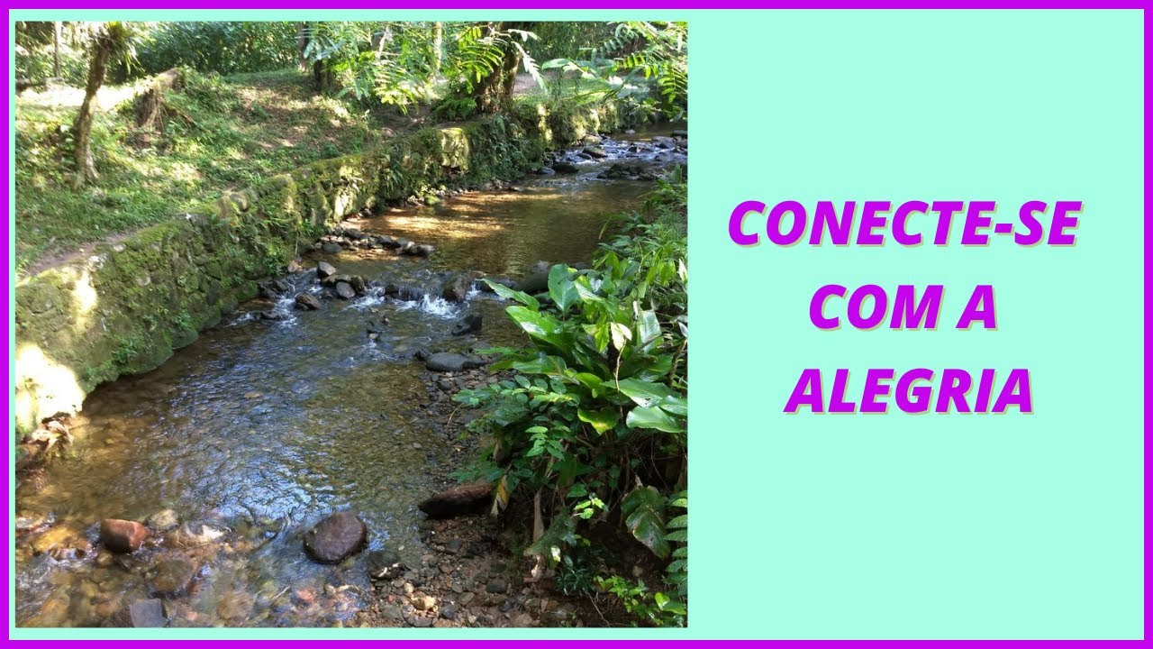 Alegria como sentir ? | Conecte-se com a alegria e viva com mais leveza ...