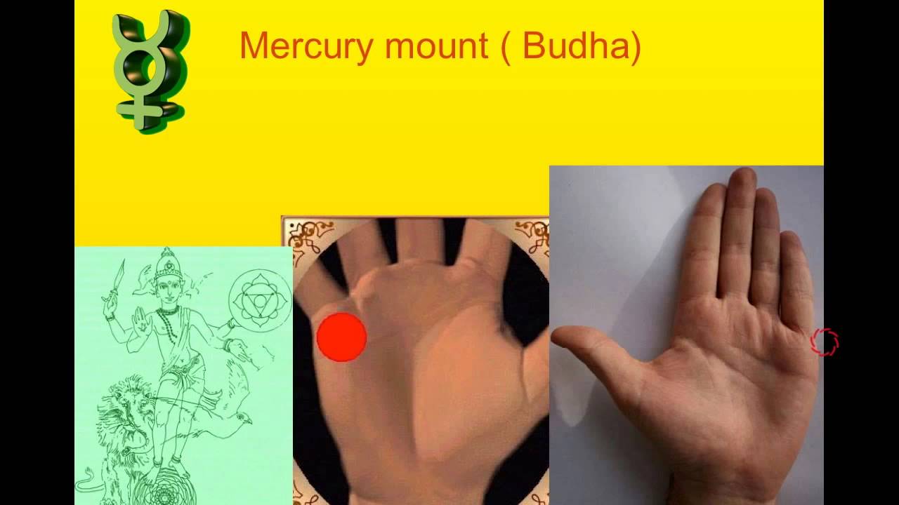 The mount of Mercury. Palmistry - YouTube
