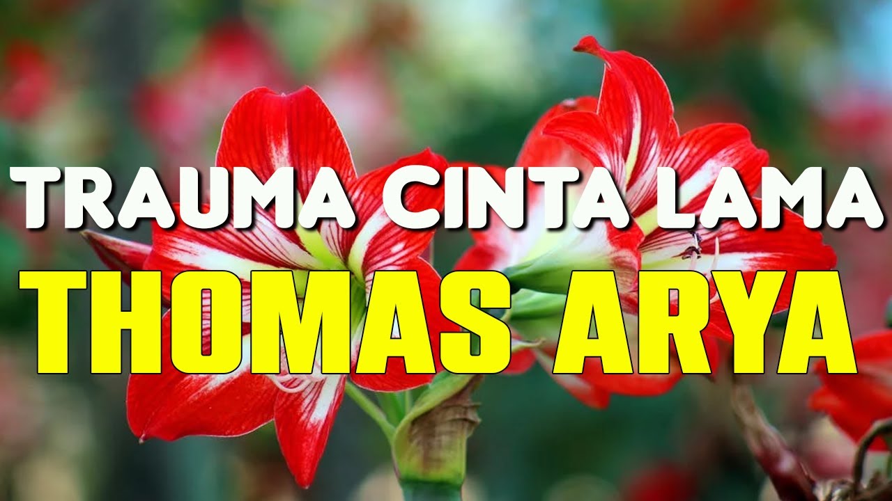 Thomas Arya - Trauma Cinta Lama | Lirik - YouTube