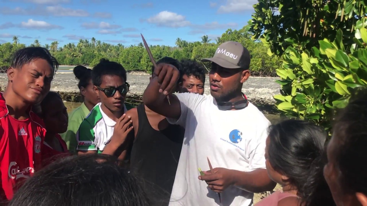 Planting Mangroves - Te Meau Projects, Kiribati - YouTube