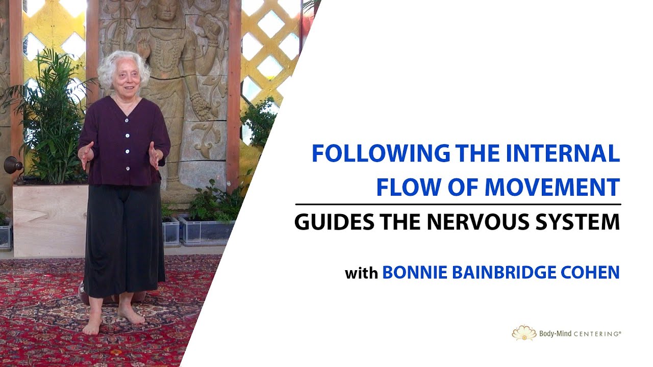 Following the Internal Flow of Movement Guides the Nervous System - YouTube