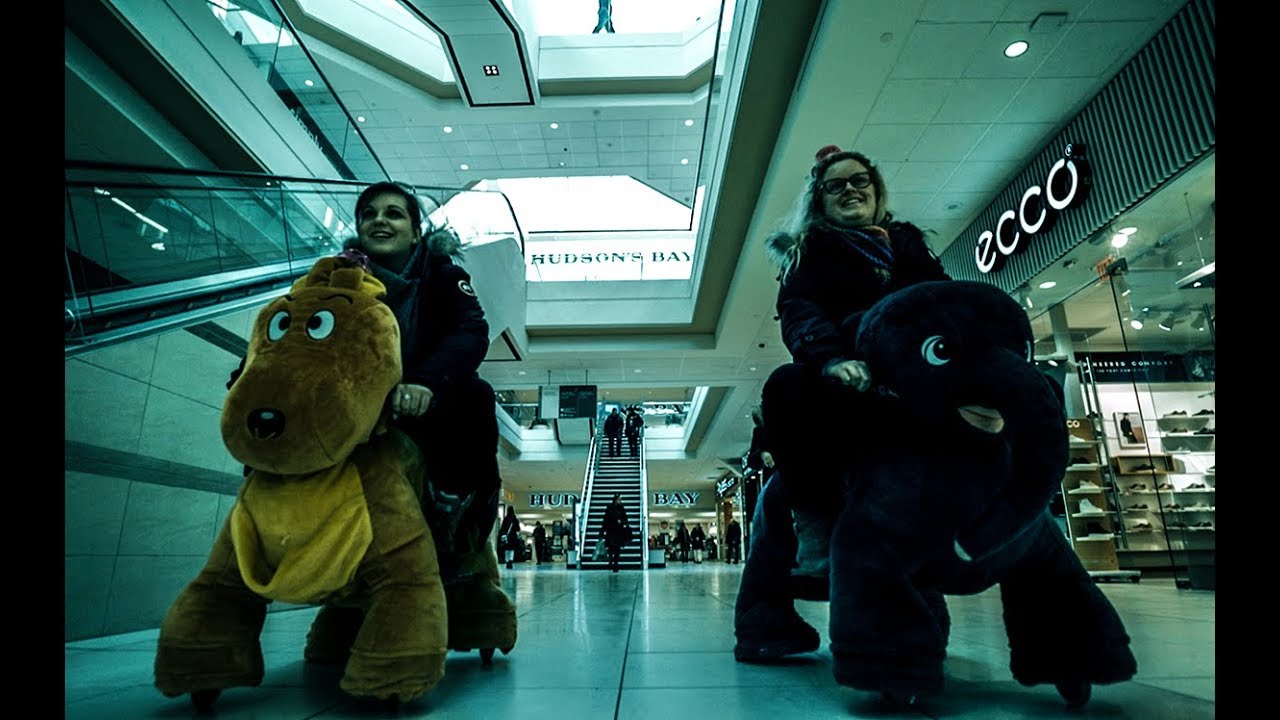 Animal Drag Race!! - YouTube