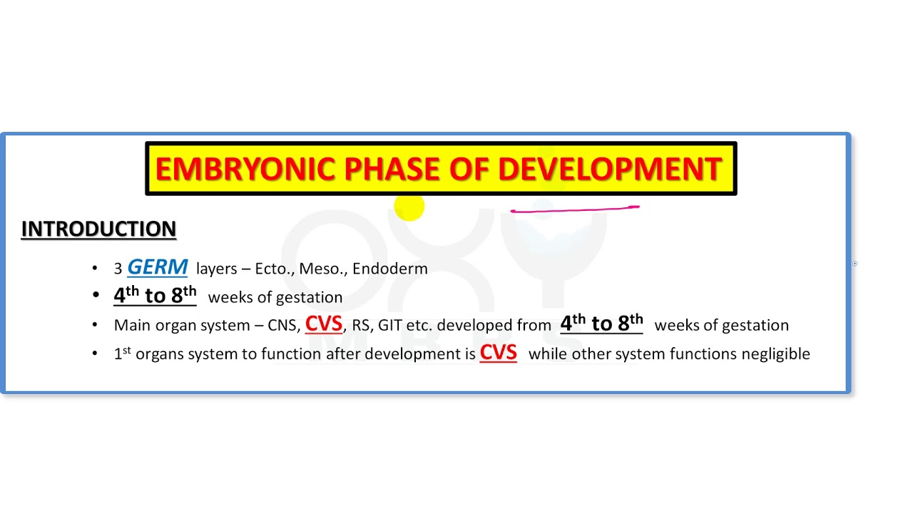 #1 Derivatives of GERM Layers- Ectoderm, Mesoderm, Endoderm - YouTube