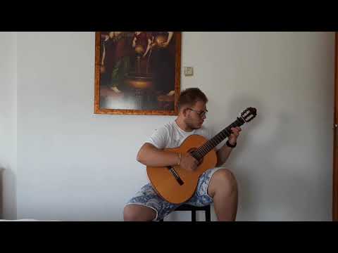 Vals(F.Carulli) + Menuet(Robertde Visée) - by Efe KESKİN