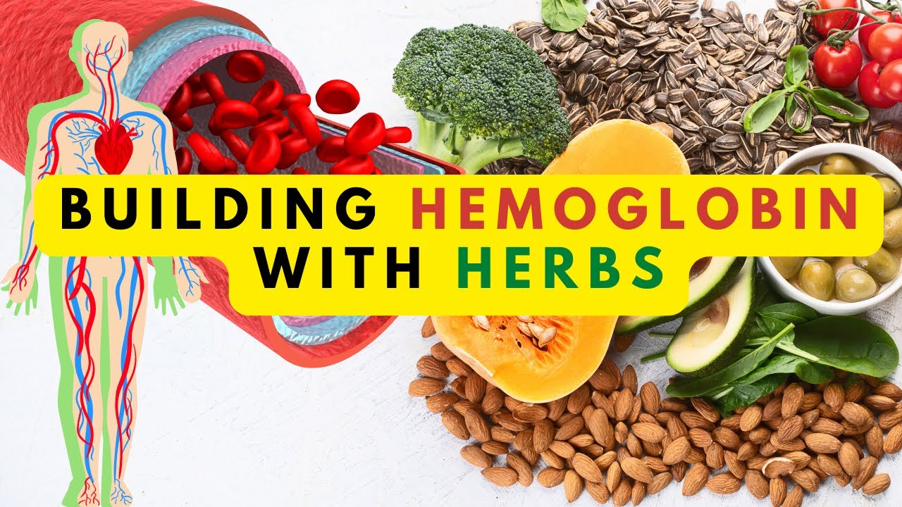 Herbs That Increase Hemoglobin Level - Boost Your Iron Rich Protein ...