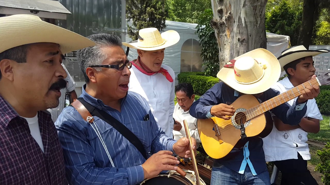 El Gusto Federal Hermanos Tavira y Alma Calentana. - YouTube Music