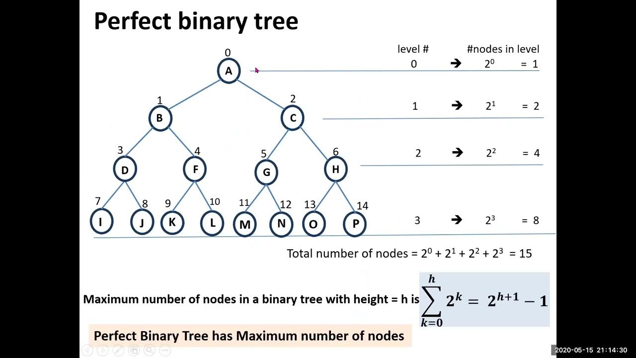 14-CS351-BinaryTree- Part-2 - YouTube