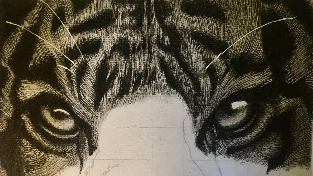 How To Draw Realistic Fur in Very Easy Way | Tutorial for BEGINNERS ...