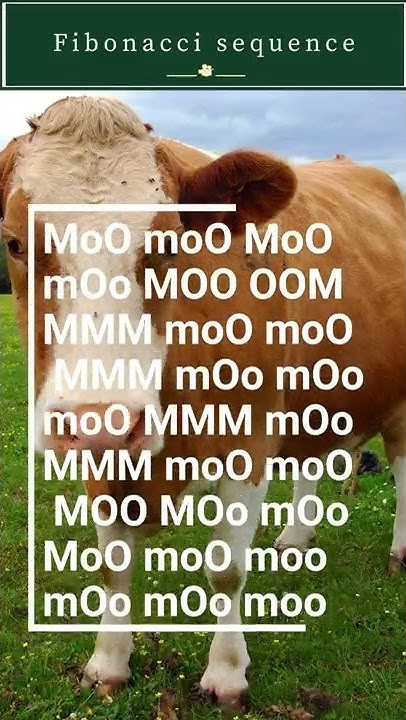 3 Most Bizarre Programming Languages Ever Created - YouTube