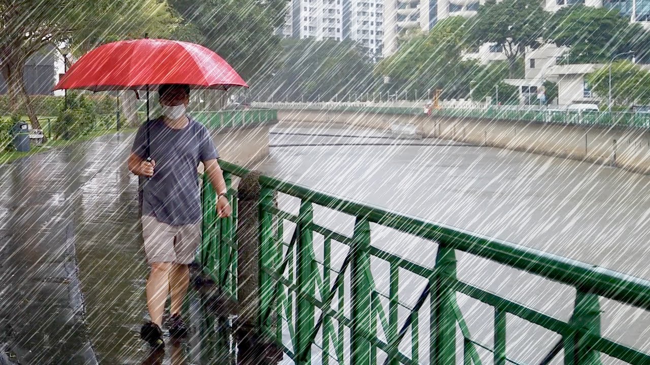 4K Heavy Rain Walk Along A Quiet Secluded River Bank (Serangoon Park ...