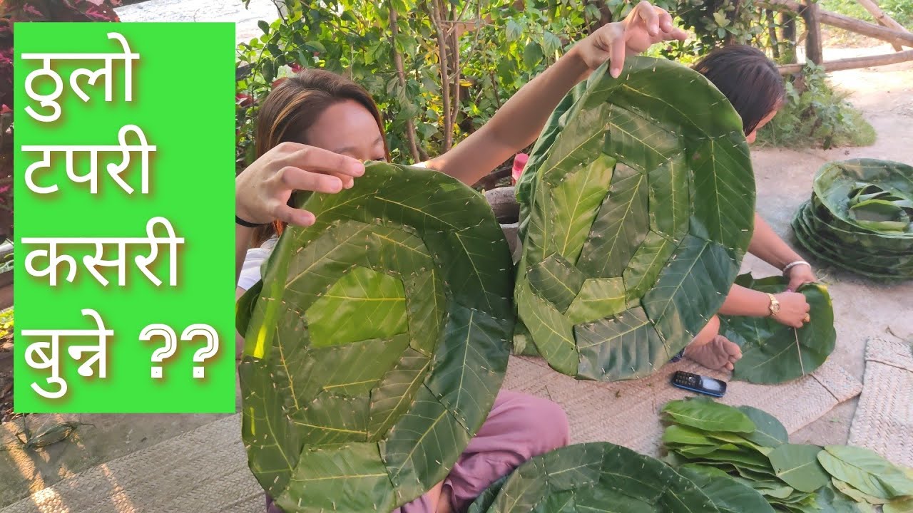 HOW TO MAKE TAPARI ??? ठुलो टपरी बुन्ने तरिका || सालको पातको टपरी - YouTube