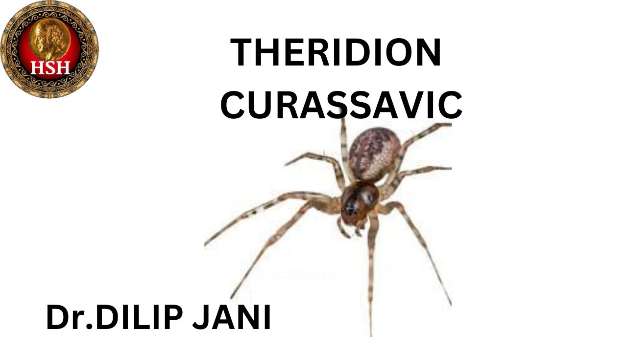 THERIDION CURASSAVICUM - Dr. Dilip Jani @hsh_homeopathy - YouTube