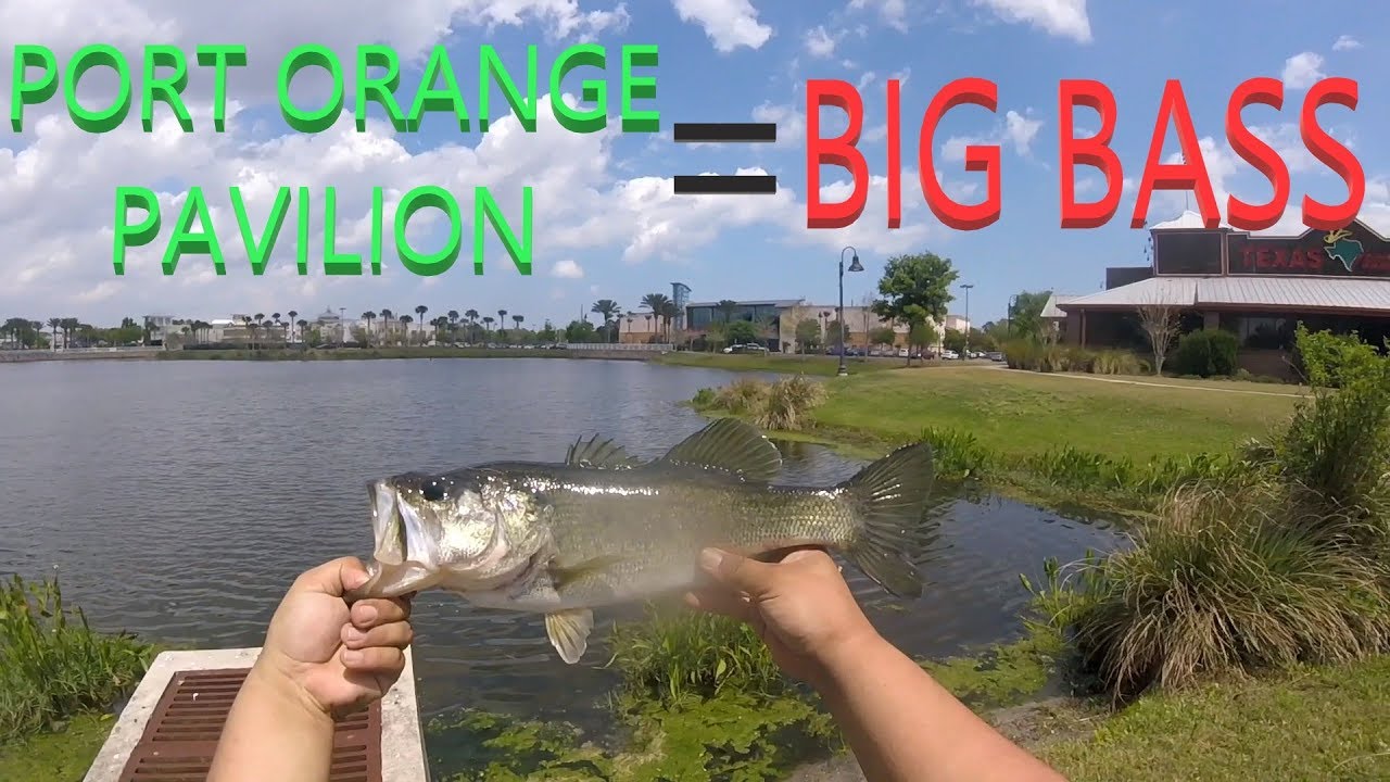 PORT ORANGE PAVILION FISHING=AWESOME!!!! - YouTube