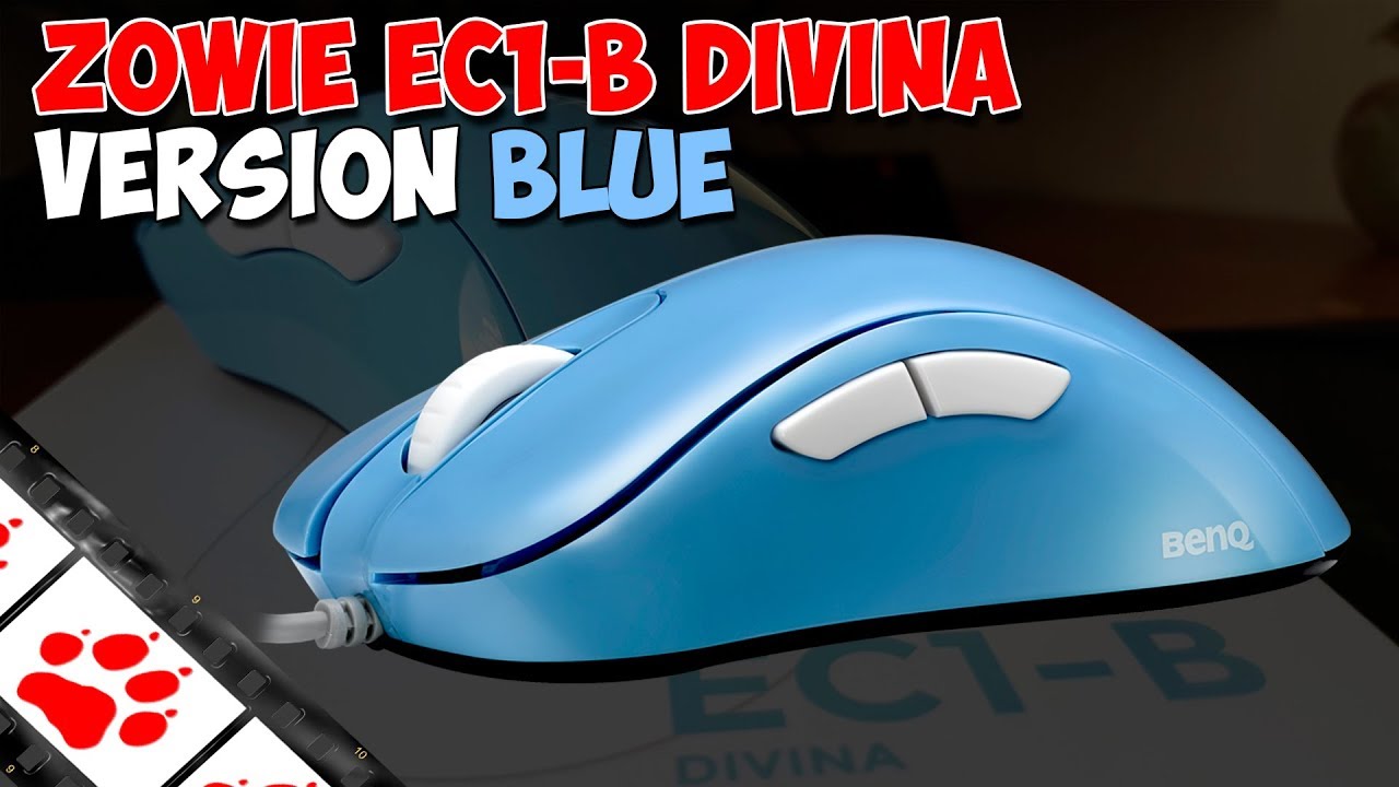 Обзор Zowie (BenQ) EC1-B DIVINA Version Blue: Мышка для ...