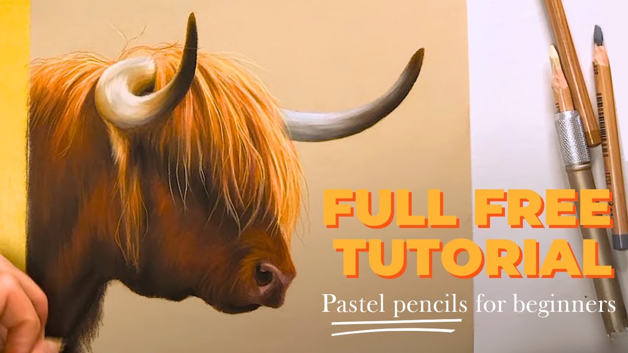 Highland Cow Pastel Pencil TUTORIAL (Step by Step) - YouTube