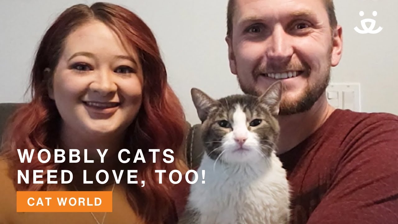 Wobbly cat needs love too | Foster-Win! - YouTube