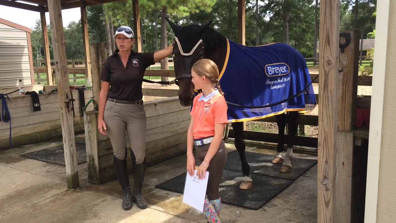 Team Member Hailey Fox with Marsha Hartford-Sapp and her Mustang Breyer ...