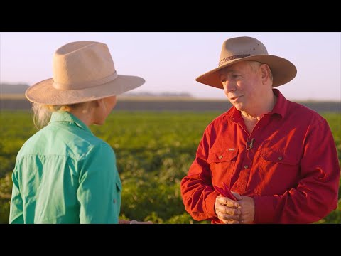 MEET GERRY A CHILLI FARMER | Ekka Meet a Farmer w/ Sammie O'Brien - YouTube