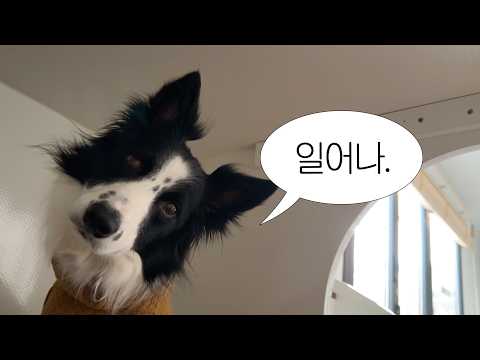 카라반 오면 뭐해… 나는 못 쉬는데