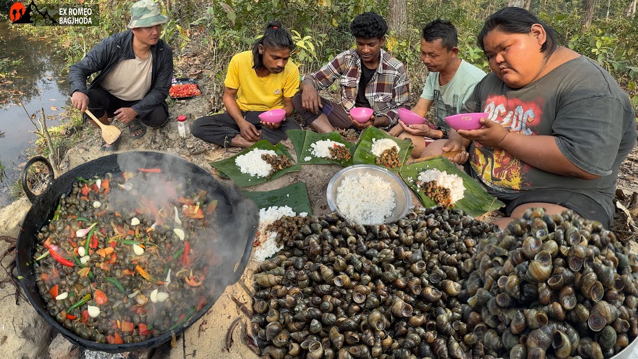 Snail Catching Cooking and Eating in Jungle Snails Fry Full Gravy ...