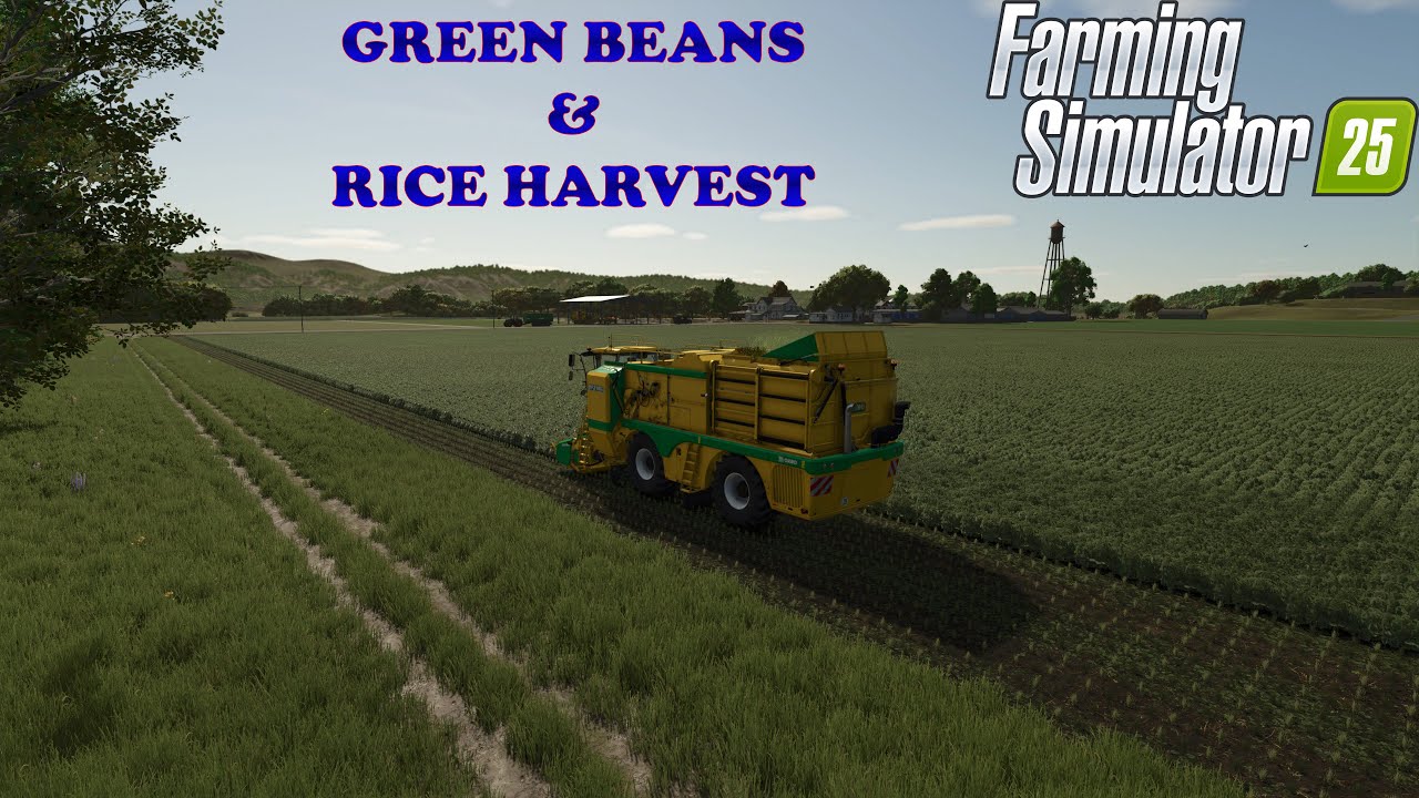 Farming Simulator 25 Rice and green bean harvest going on - YouTube