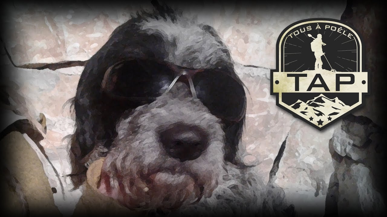 GoPro On Dog #0 - A dog's life on Gopro Hero 4 Session - YouTube