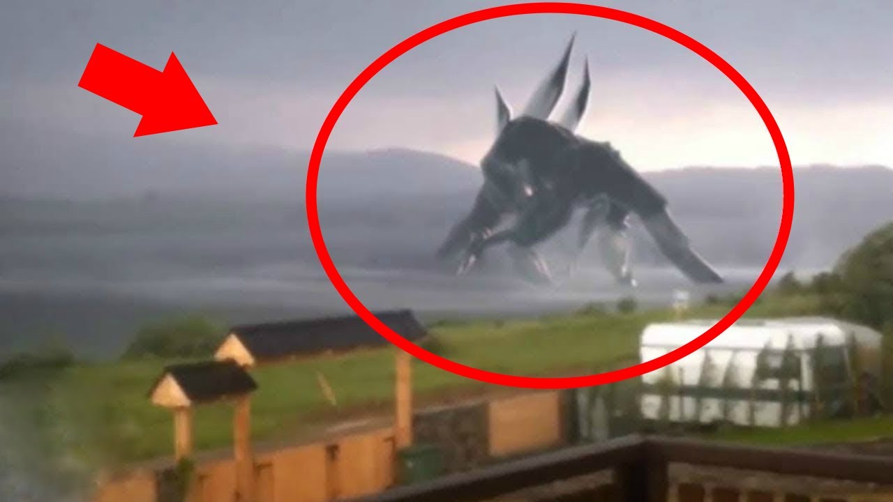 7 Giant Creatures Caught on Tape - YouTube