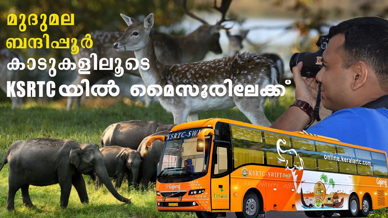 Nilambur to Mysore Bus Journey | Mysore Busstand | Bandipur Tiger ...