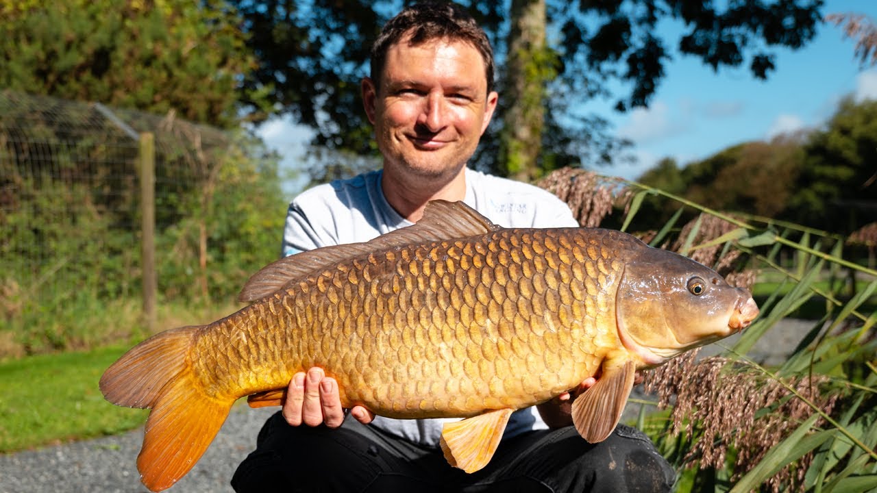 Autumn Carp Fishing on the Specimen Lake | Carp Fishing Cornwall ...