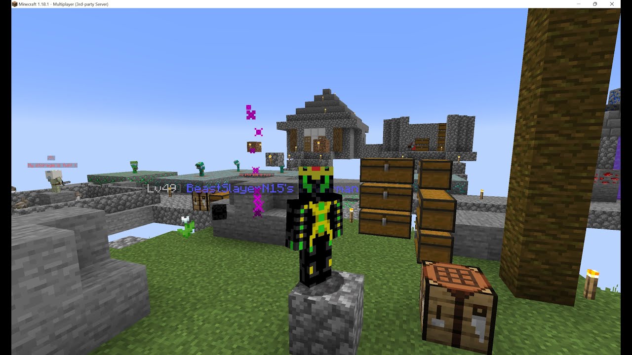 playing on Solidarity's stream (Minecraft Java) - YouTube