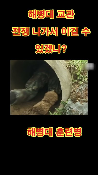 해병대 교관 이길 수 있겠나 Shorts Youtube
