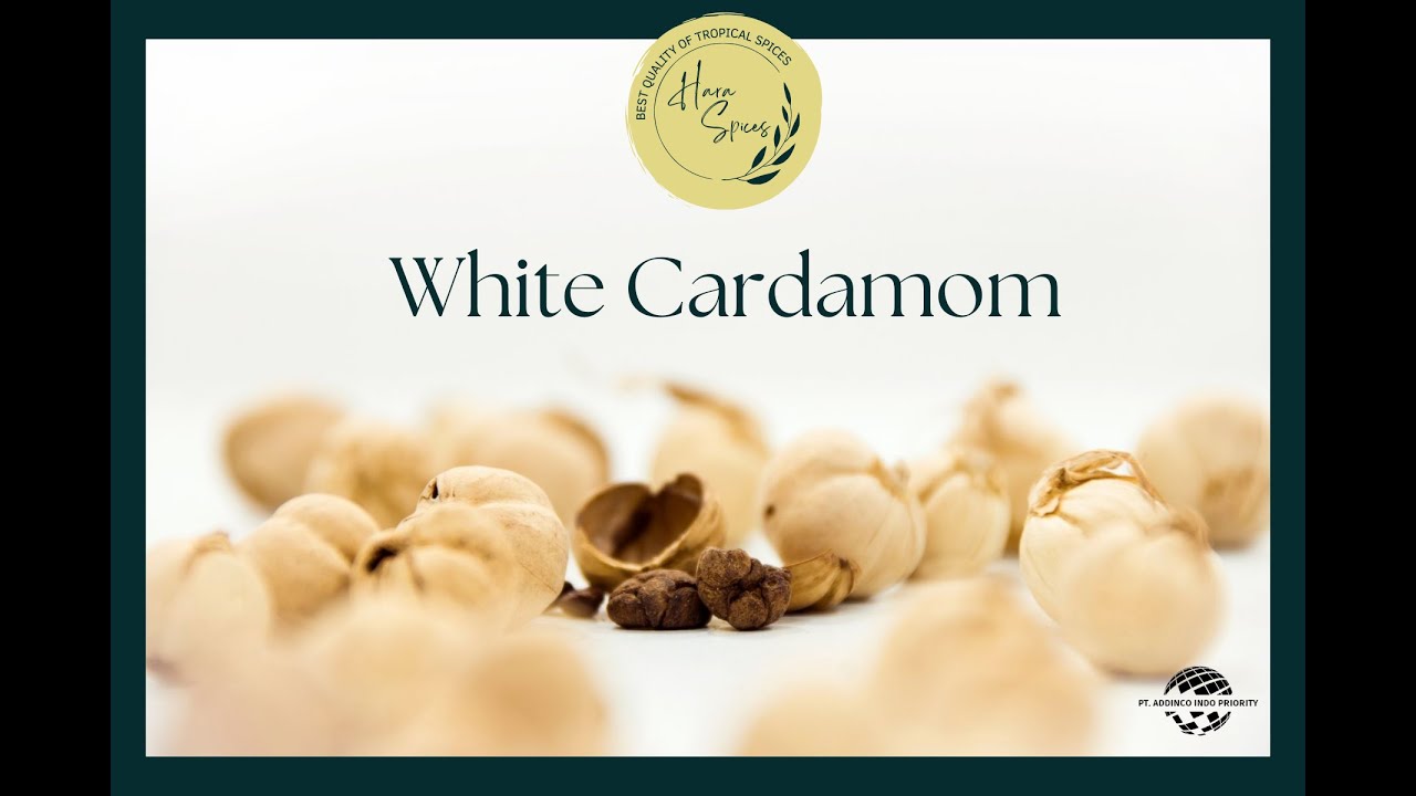 WHITE CARDAMOM / KAPULAGA - One of the best tropical spices from ...