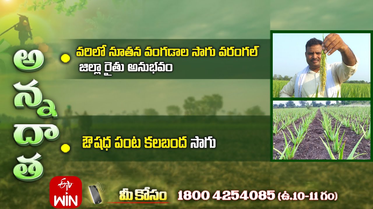 7th May 2024 | Annadata | అన్నదాత | Full Episode | ETV Telugu - YouTube