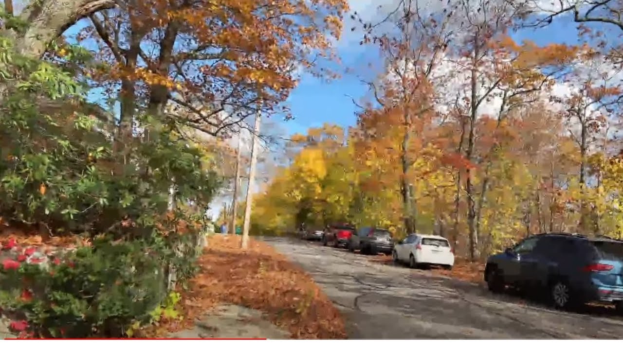 LIVE Fall Foliage Walk in Massachusetts - YouTube