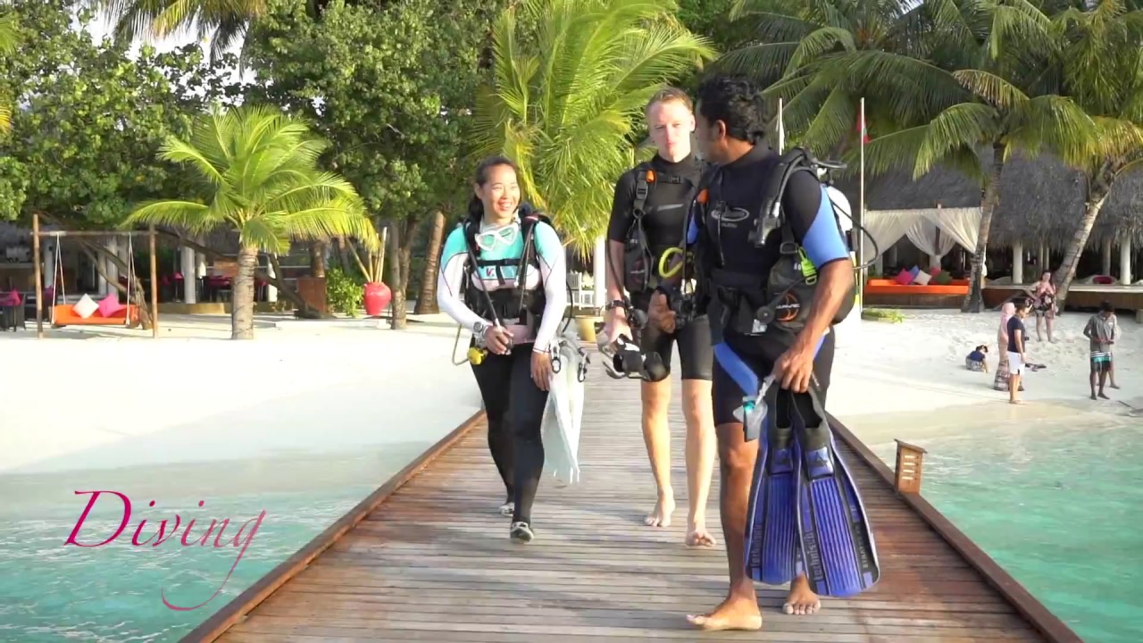 Diving - Discover the best diving and snorkeling spots in Maldives ...