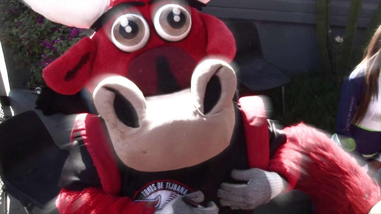 Toro Torin... Con su Nueva Imagen - YouTube