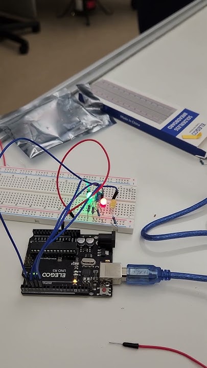 week 2 part 2 - YouTube