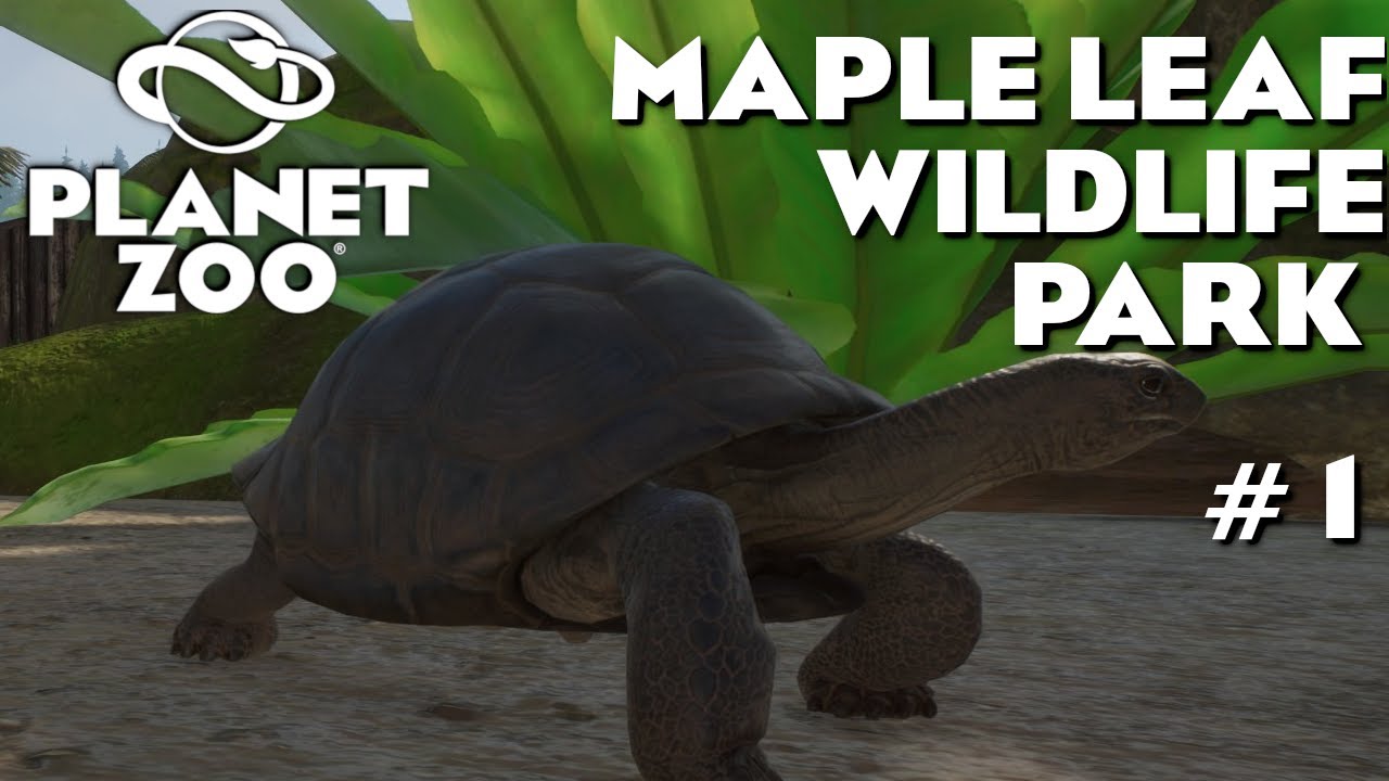 Planet Zoo - Maple Leaf Wildlife Park - Building Our FIRST Zoo!! #1 ...